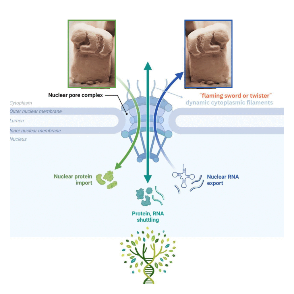 Why Gobekli Tepe - g5asi.com